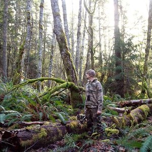 Dark Woods Justice - Rotten Tomatoes