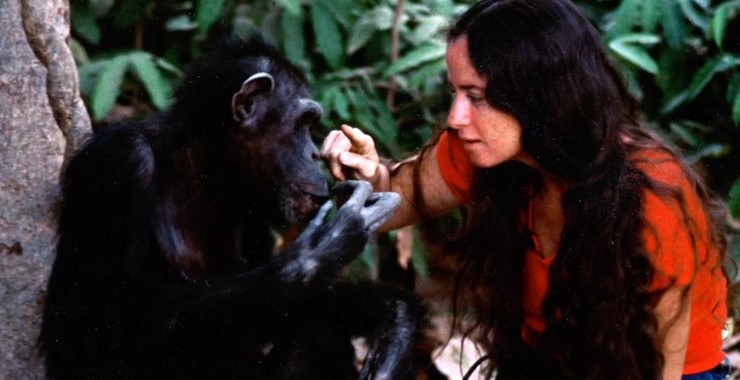 Lucy the Human Chimp - Rotten Tomatoes