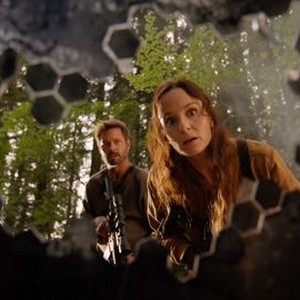 Colony - Rotten Tomatoes