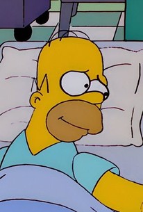 The Simpsons: Season 10, Episode 8 | Rotten Tomatoes