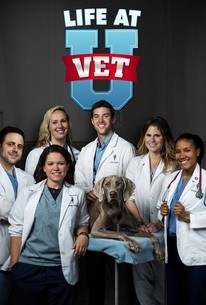 Life at Vet U: Season 1 | Rotten Tomatoes