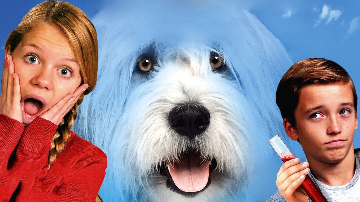 Abner The Invisible Dog Movie