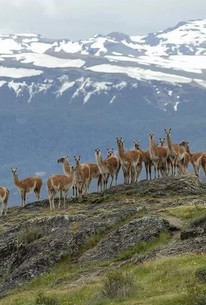 Evolution Earth: Season 1, Episode 5 | Rotten Tomatoes