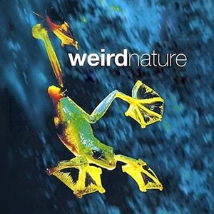 Weird Nature - Rotten Tomatoes