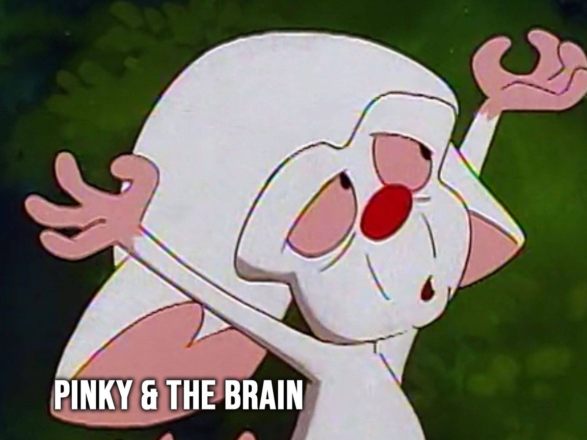 Pinky And The Brain Vhs