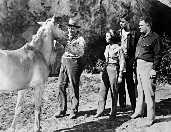 Roy Roberts Actor Roy Roberts: Movies, TV, And Bio