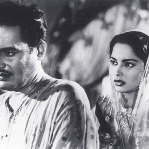 Full Moon - Rotten Tomatoes