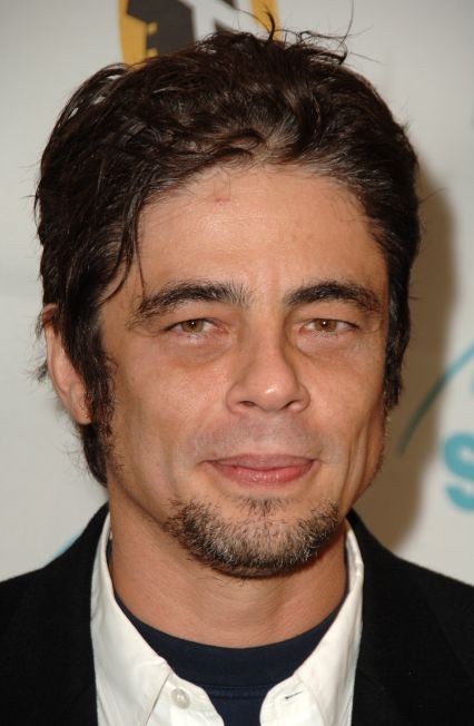 Benicio Del Toro - Rotten Tomatoes