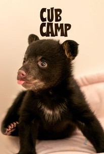 Cub Camp: Season 1 | Rotten Tomatoes