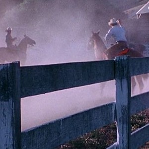 Running Fence - Rotten Tomatoes