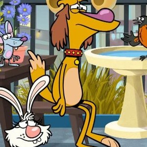 Nature Cat: Season 5, Episode 2 - Rotten Tomatoes