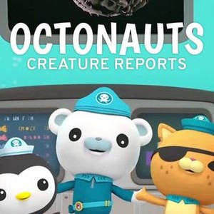 Octonauts: Creature Reports - Rotten Tomatoes
