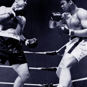 The Super Fight - Rotten Tomatoes