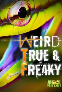 Weird, True & Freaky | Rotten Tomatoes