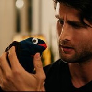 The Argument - Rotten Tomatoes