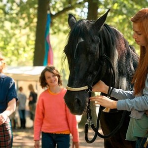 Windstorm 4: Ari's Arrival - Rotten Tomatoes