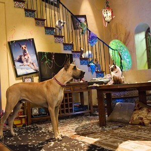 Marmaduke - Rotten Tomatoes