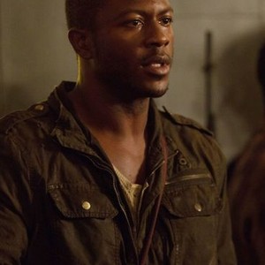 Edwin Hodge - Rotten Tomatoes