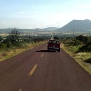 The Incident - Rotten Tomatoes