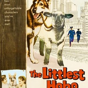 The Littlest Hobo - Rotten Tomatoes
