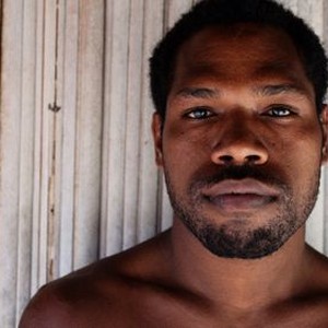 Splinters - Rotten Tomatoes