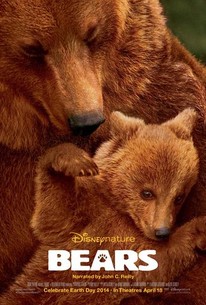 Bears | Rotten Tomatoes