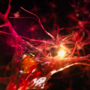 Father of the Cyborgs - Rotten Tomatoes