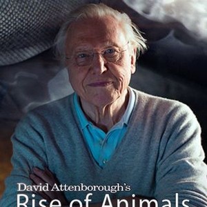 David Attenborough's Rise of Animals: Triumph of the Vertebrates ...