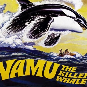 Namu, the Killer Whale - Rotten Tomatoes