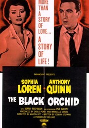 Jimmy Baird - Rotten Tomatoes