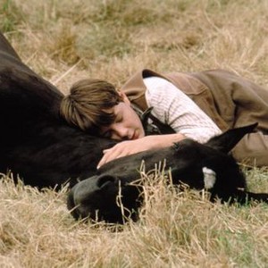 Anthony Walters - Rotten Tomatoes