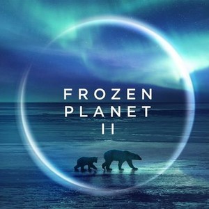 Planet Earth: Frozen Planet II - Rotten Tomatoes