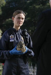 Bones: Season 2, Episode 17 | Rotten Tomatoes