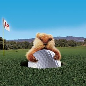 Caddyshack - Rotten Tomatoes