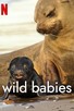Wild Babies | Rotten Tomatoes