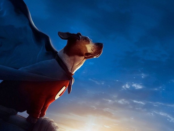 Underdog Wallpaper 10008505 Underdog Wallpaper