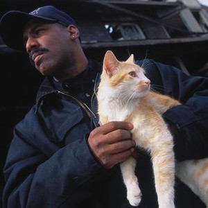 Animal Cops - Rotten Tomatoes