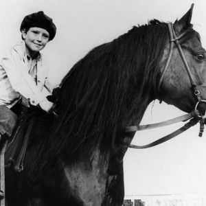 Kelly Reno - Rotten Tomatoes