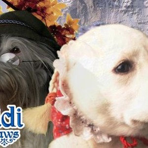 Heidi 4 Paws - Rotten Tomatoes