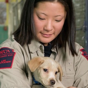 Animal Cops: Detroit: Season 13, Episode 20 - Rotten Tomatoes