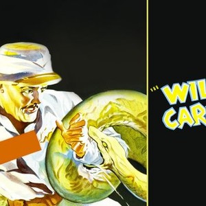 Wild Cargo - Rotten Tomatoes