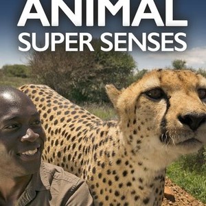 Animal Super Senses - Rotten Tomatoes