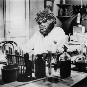 Robert Shayne - Rotten Tomatoes