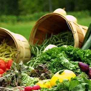 Eating You Alive - Rotten Tomatoes