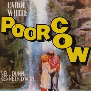 Poor Cow - Rotten Tomatoes