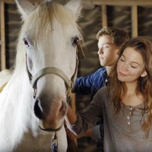 Jordan Elsass - Rotten Tomatoes