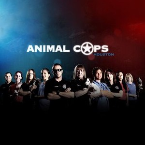 Animal Cops: Houston: Season 3, Episode 13 - Rotten Tomatoes
