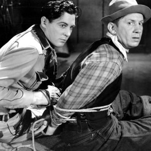 Fuzzy Knight - Rotten Tomatoes