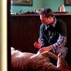 Devon Gummersall - Rotten Tomatoes