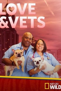 Love & Vets: Season 1 | Rotten Tomatoes